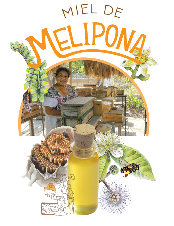» Miel de Melipona