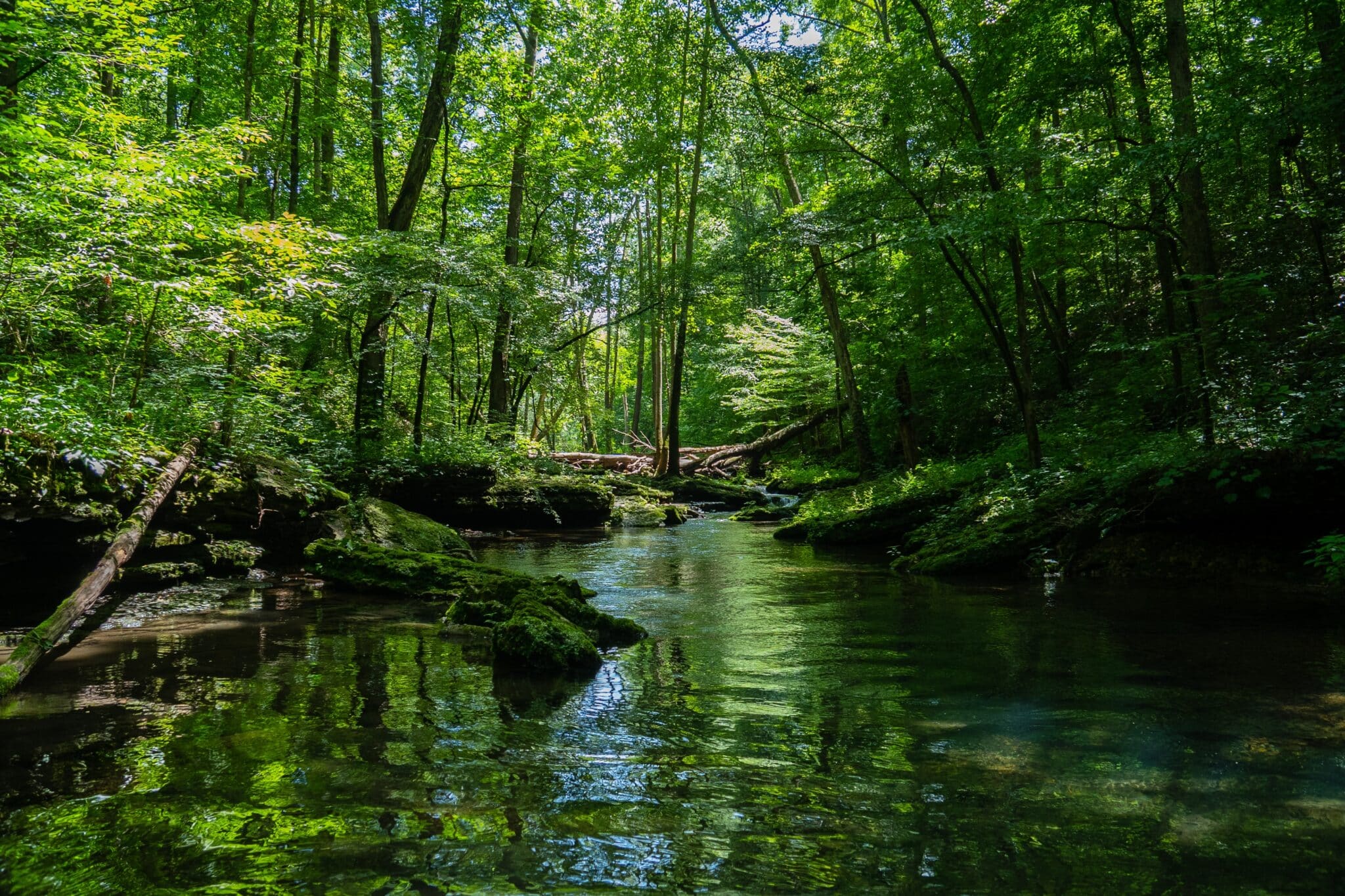 Russell E. Train Education for Nature - Posgrado ECOSUR