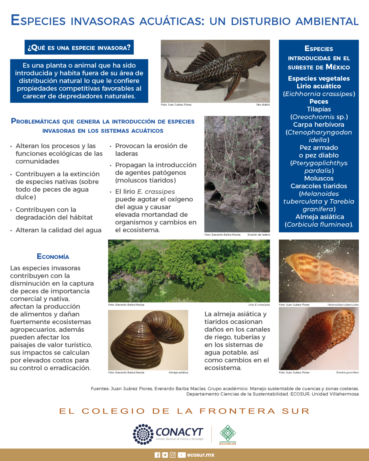 Especies invasoras acuáticas: un disturbio ambiental - Portal de El ...