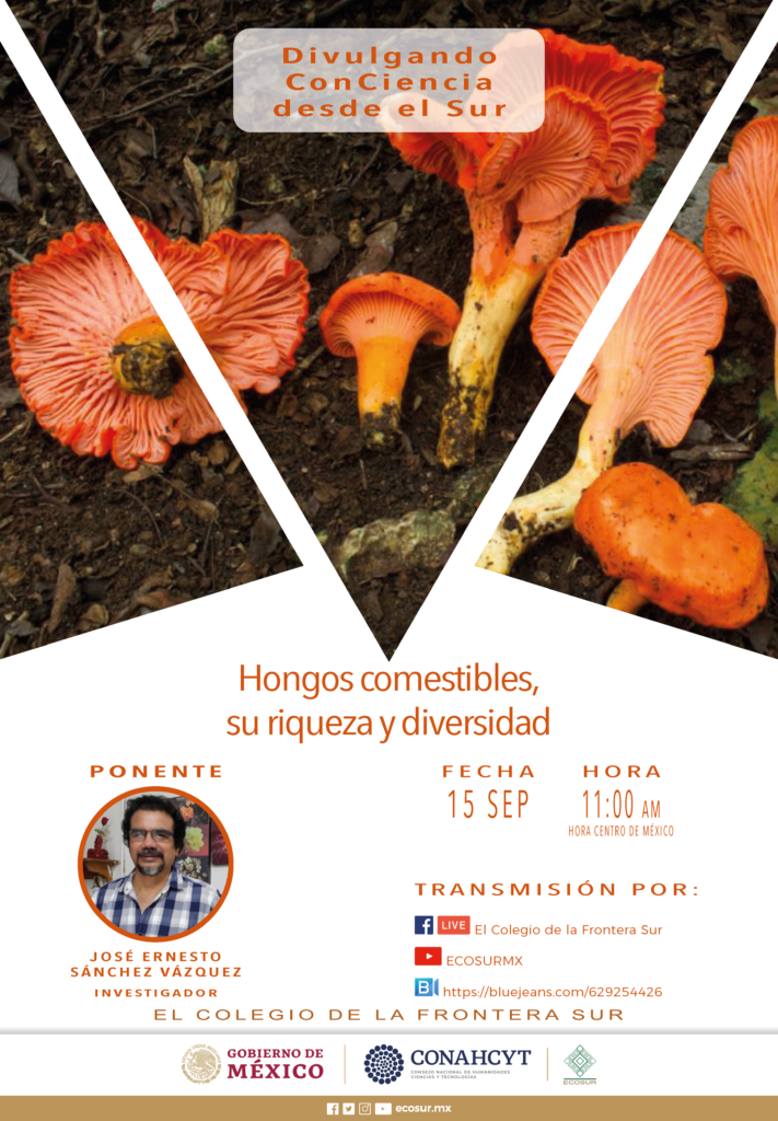 Plática "Los hongos comestibles, un alimento poco conocido" - Portal de ...