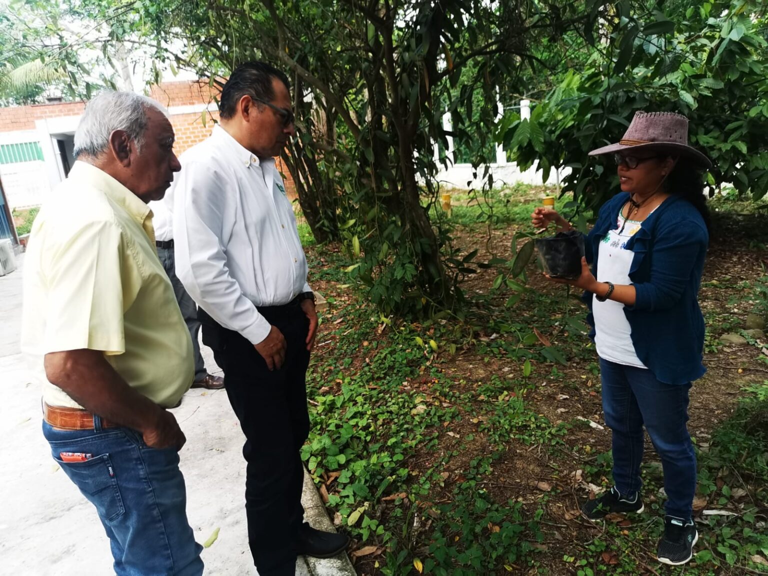 La Sociedad de Producción Rural Agroforestales de Tabasco visita ECOSUR ...