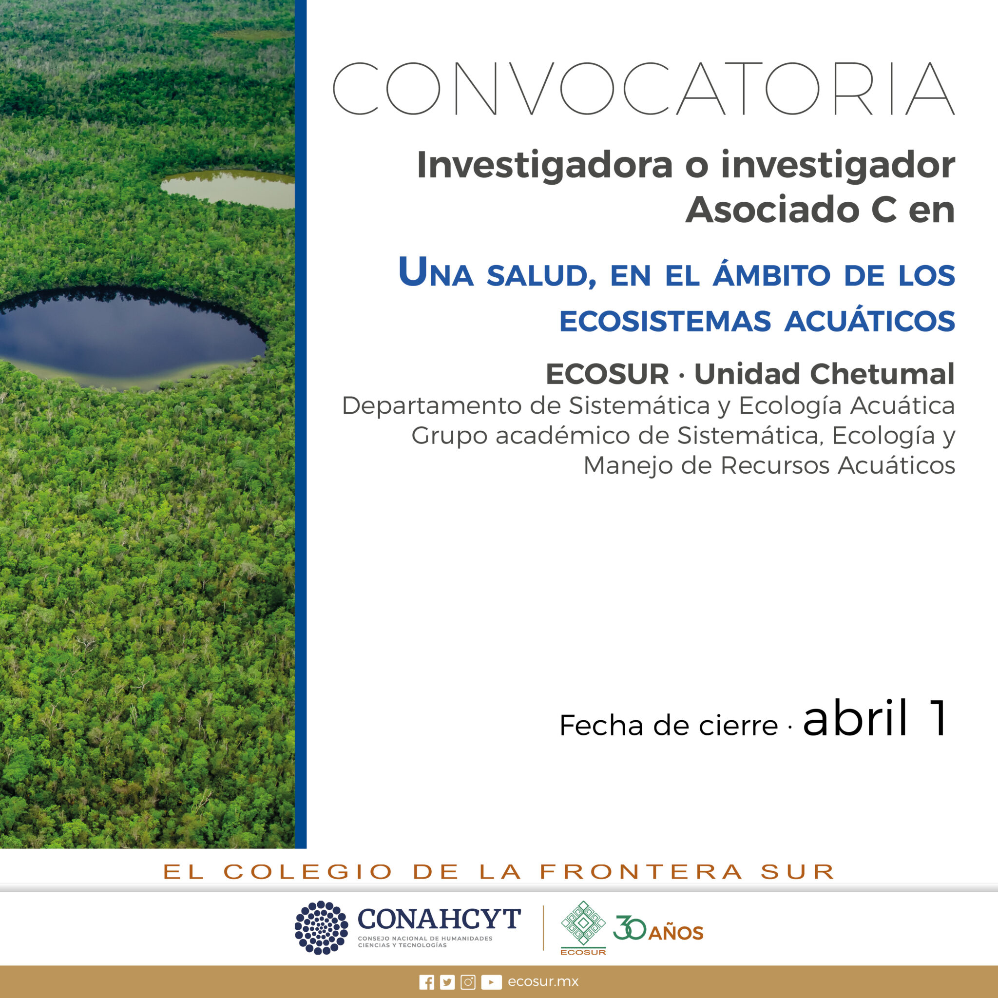 CGA-002-2023. Investigador(a) Asociado(a) CGA-002-2023. Investigador(a) Asociado(a)