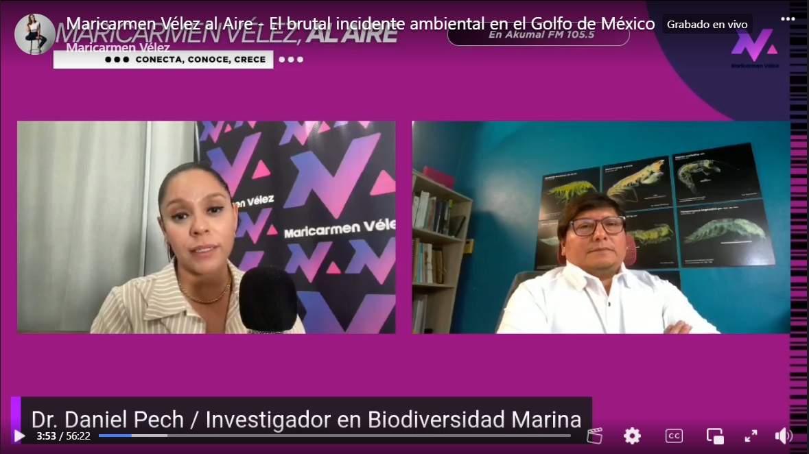 El brutal incidente ambiental en el golfo de México | entrevista con ...